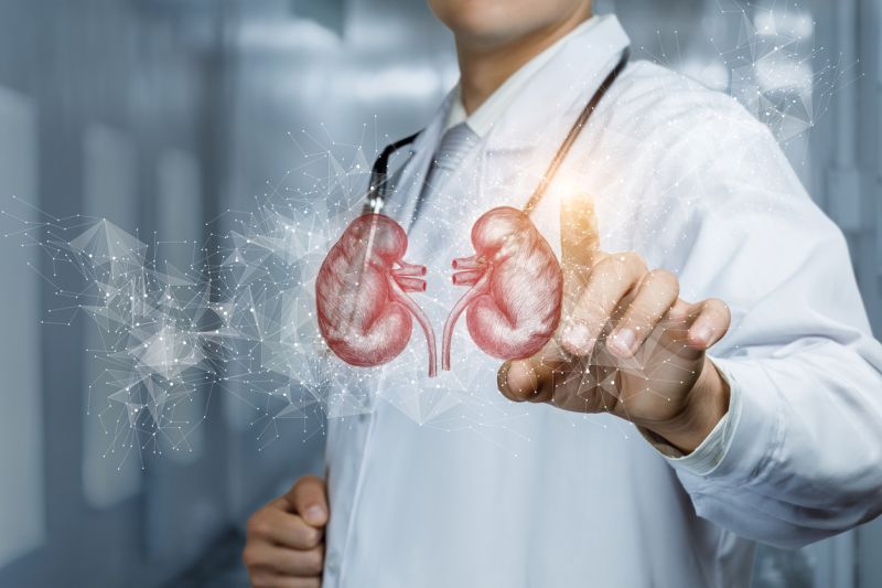 Medicare Kicks Off New Kidney Care Demonstration Project - Dialysis ...