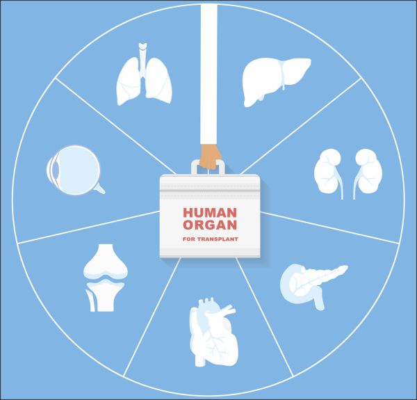 “Securing the U.S. Organ Procurement and Transplantation Network Act ...
